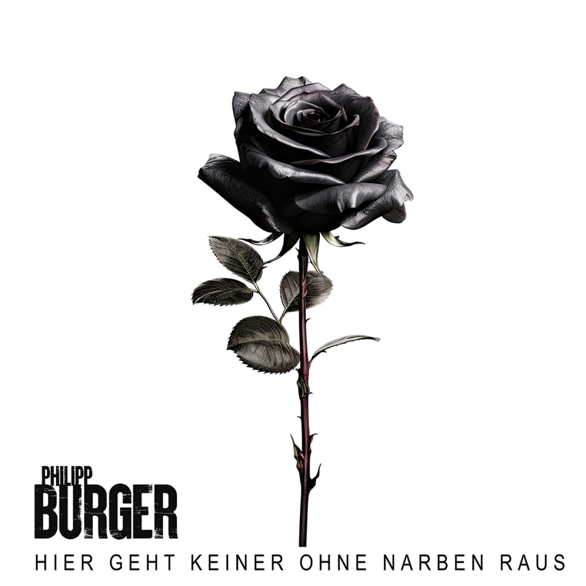Hier geht keiner ohne Narben raus | Diskographie | Philipp Burger Official
